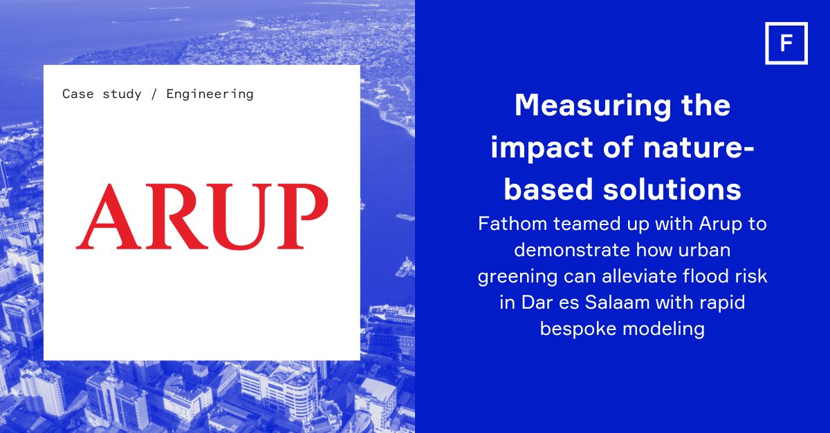 ARUP - Nature Based Solutions Flood Resilience Case Study